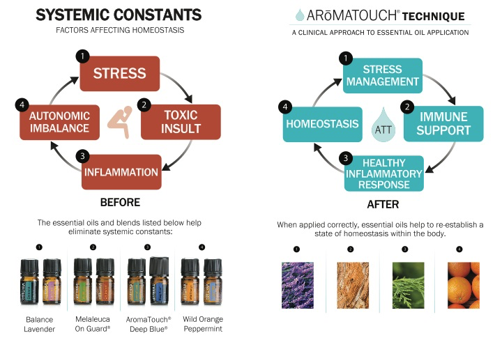 Aromatouch™ Techniek Doterra | Praktijk Elnoma